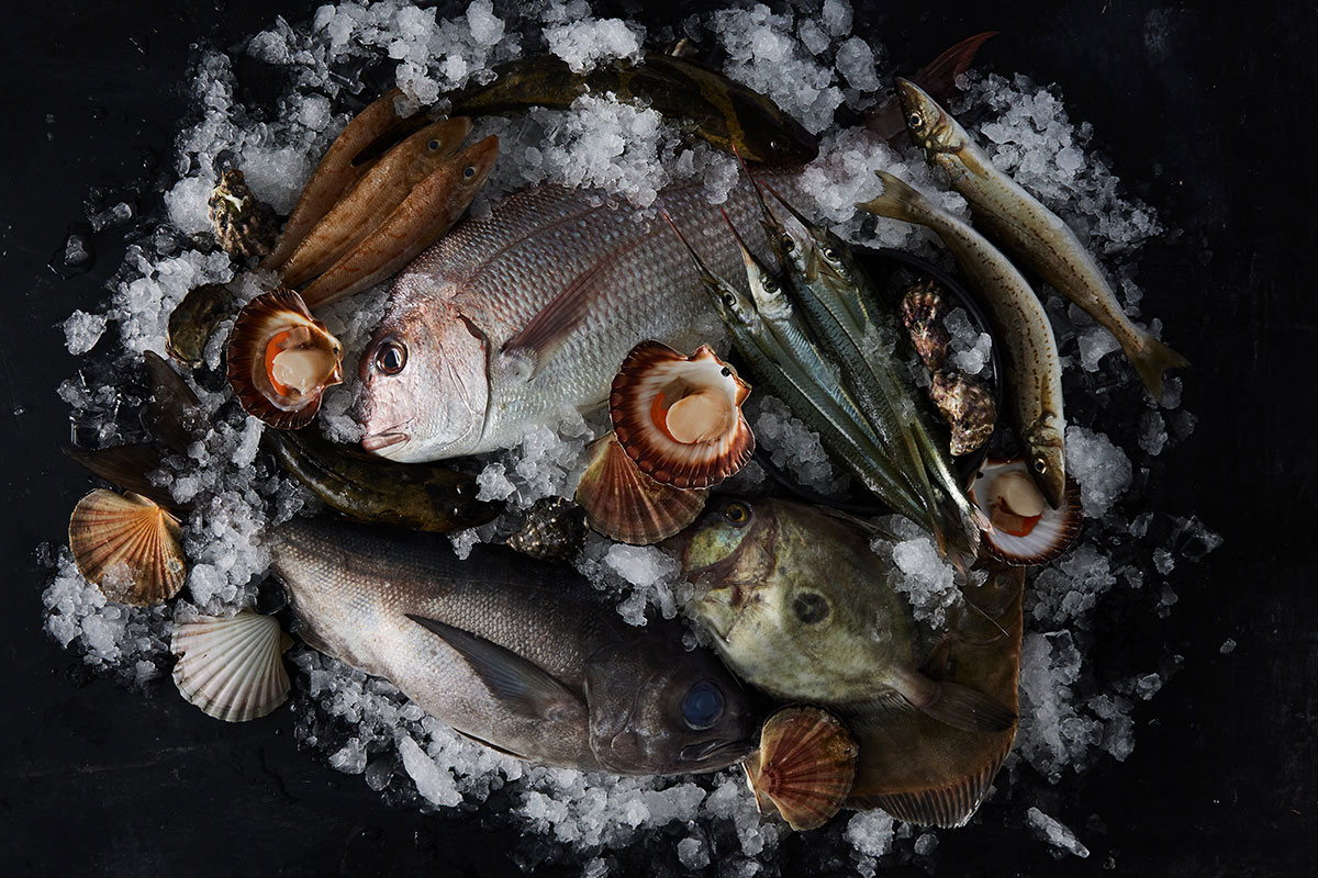 Les Quatre Piliers Grande Cuvée Sauvignon Blanc Bel Air 2020 - Bacash ...